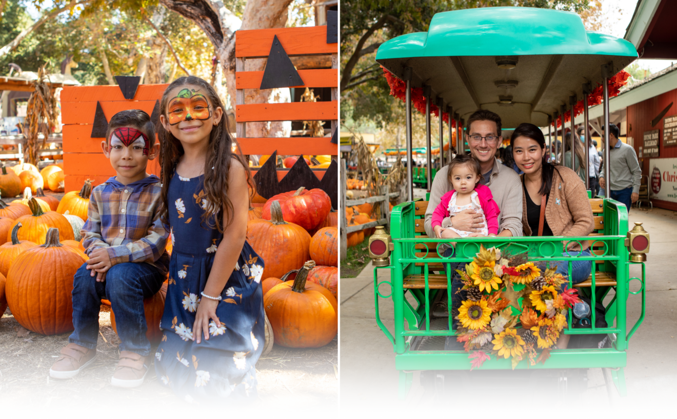 Pumpkin Patch | Halloween Events | Family Entertainment | Orange County